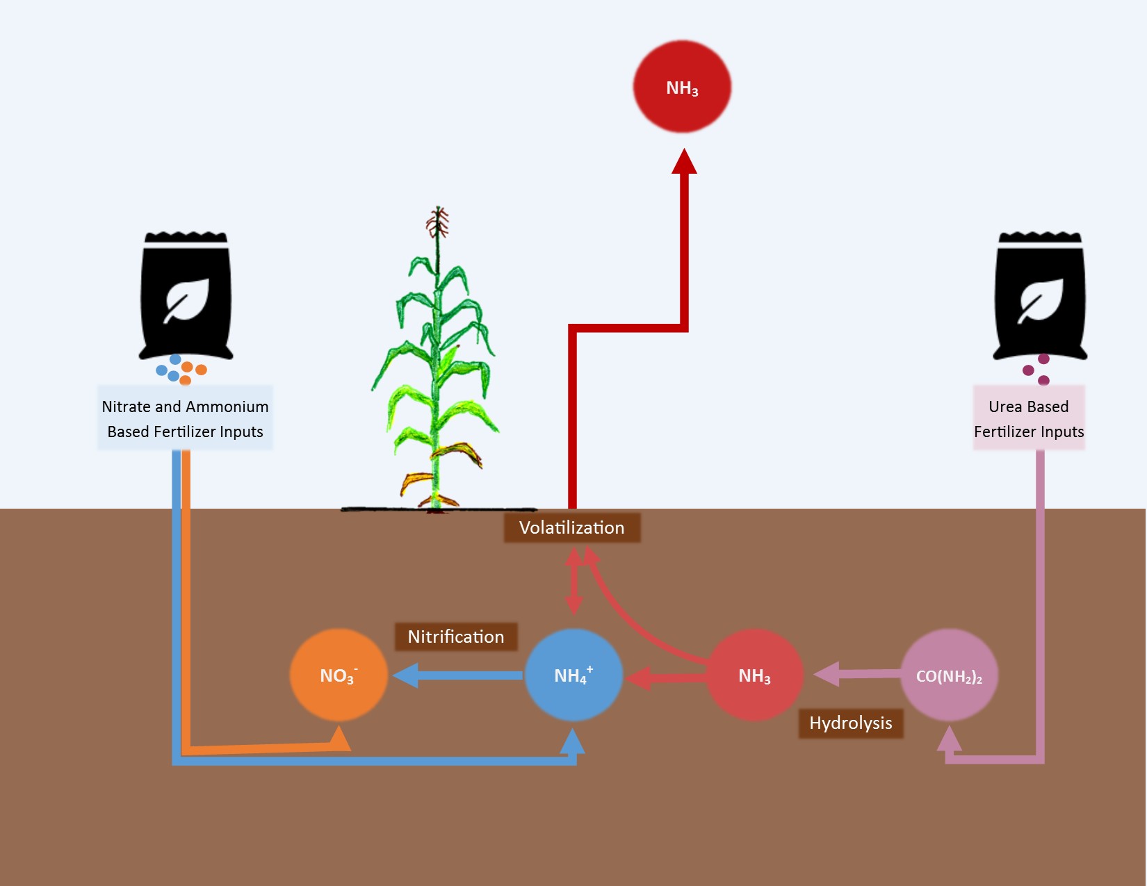 Research Update: Examining the Capabilities of Biochar to Adsorb ...